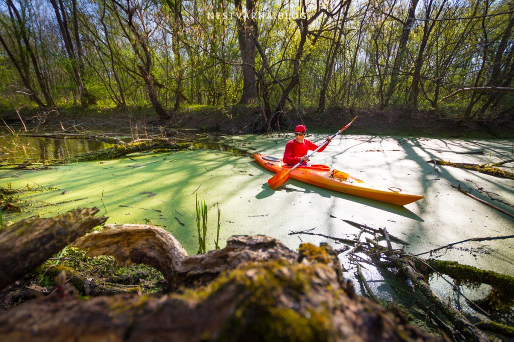 Koviljski Rit. – NESTVARNA MESTA.