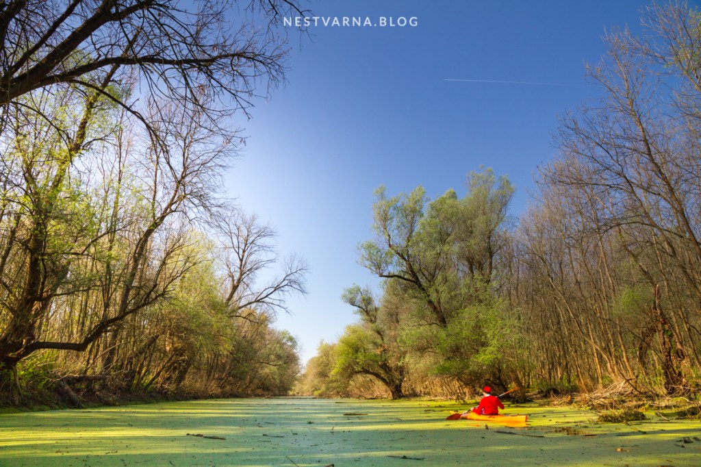 Koviljski Rit. – NESTVARNA MESTA.