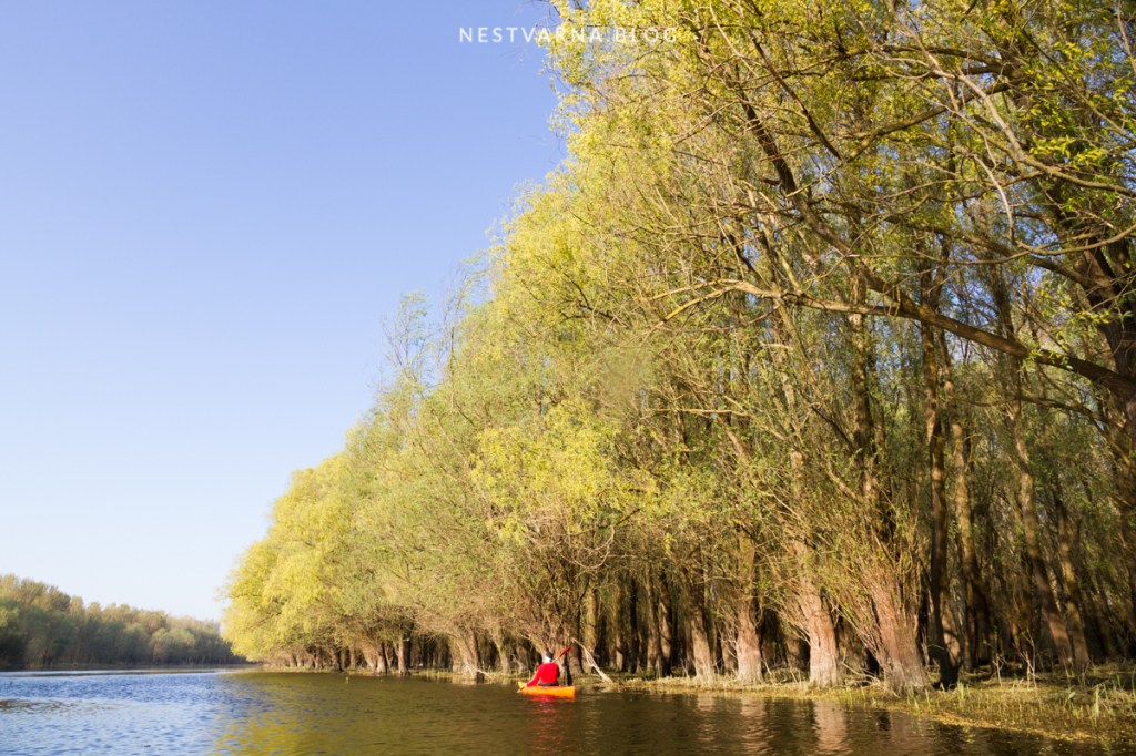 Koviljski Rit. – NESTVARNA MESTA.