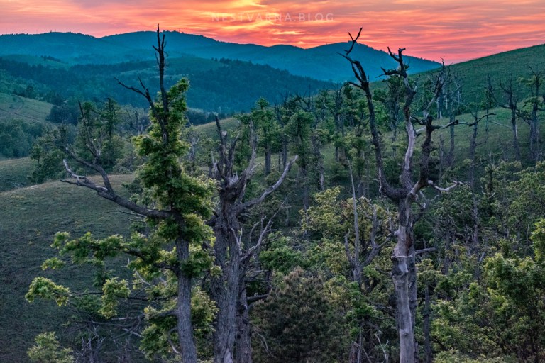 Hiking around Belgrade: Lonely landscape of Maljen and Suvobor ...