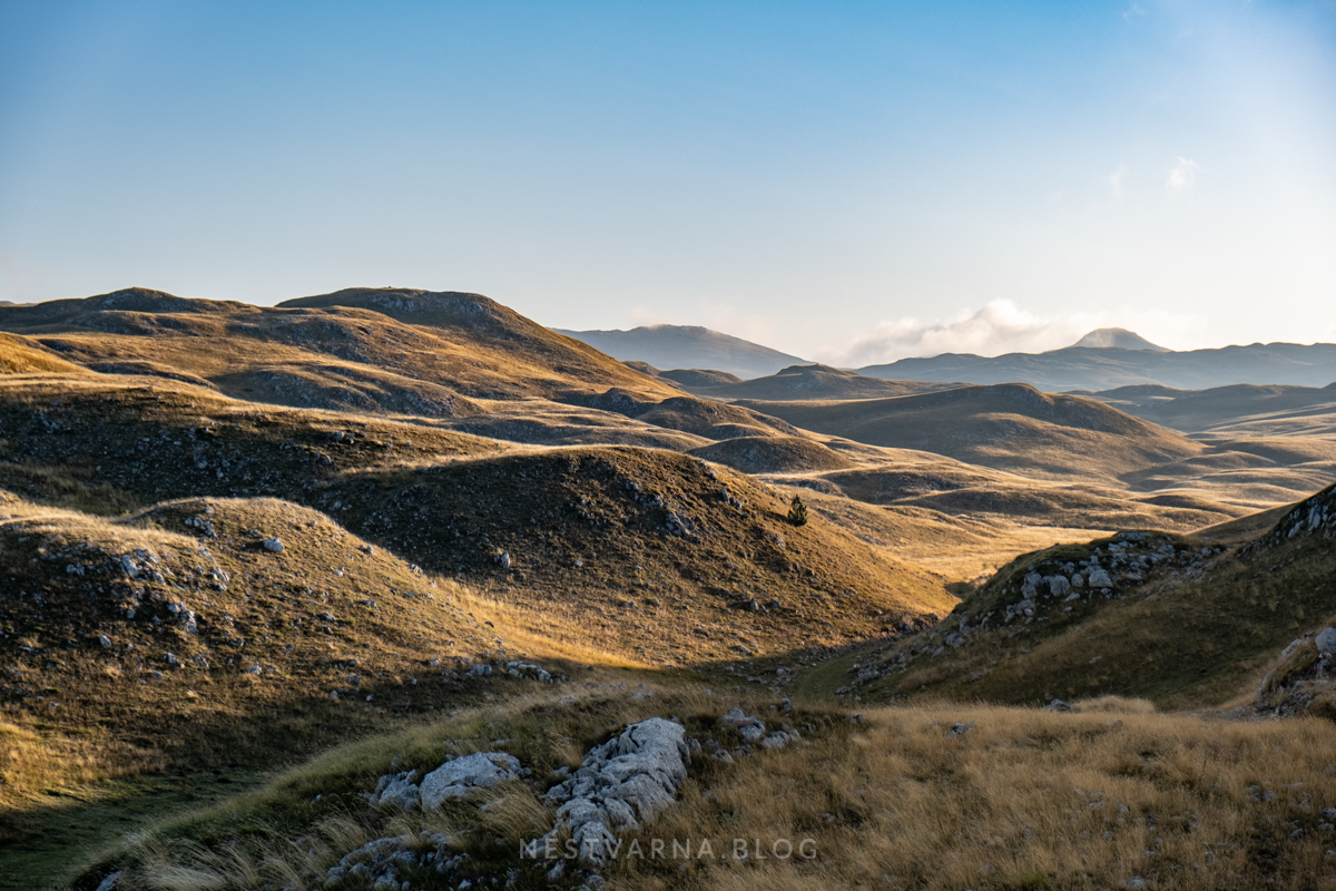 Sinja(je)vina. – NESTVARNA MESTA.